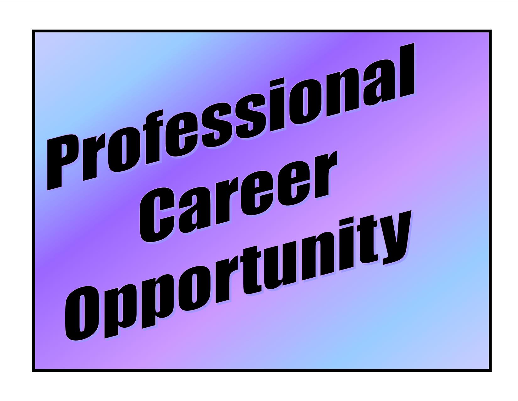 Professional Career Opportunity - Director of Construction Materials ...